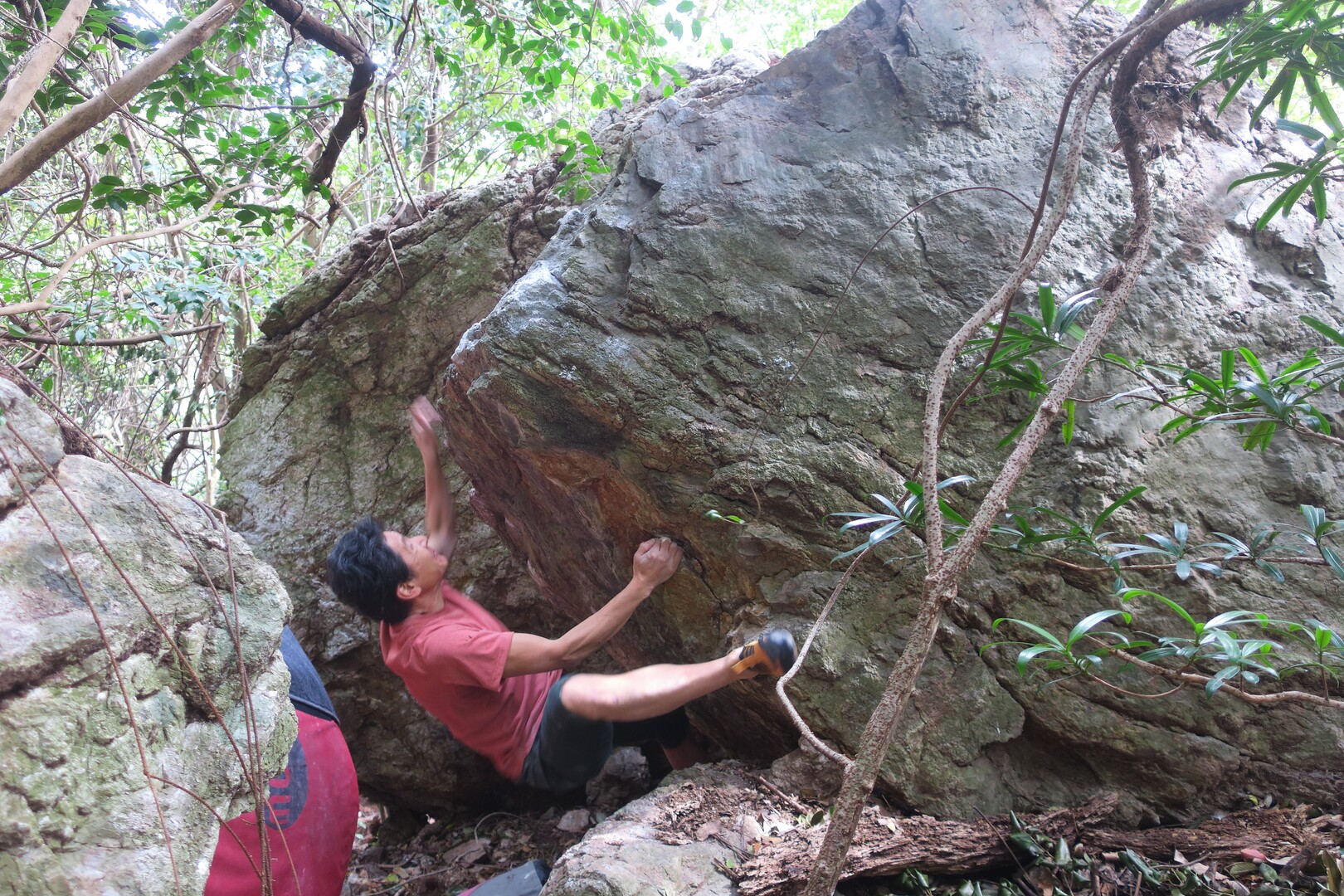 pic1,2:左下からSDスタートで右抜... / 獅子巣さんのモーメント | YAMAP / ヤマップ