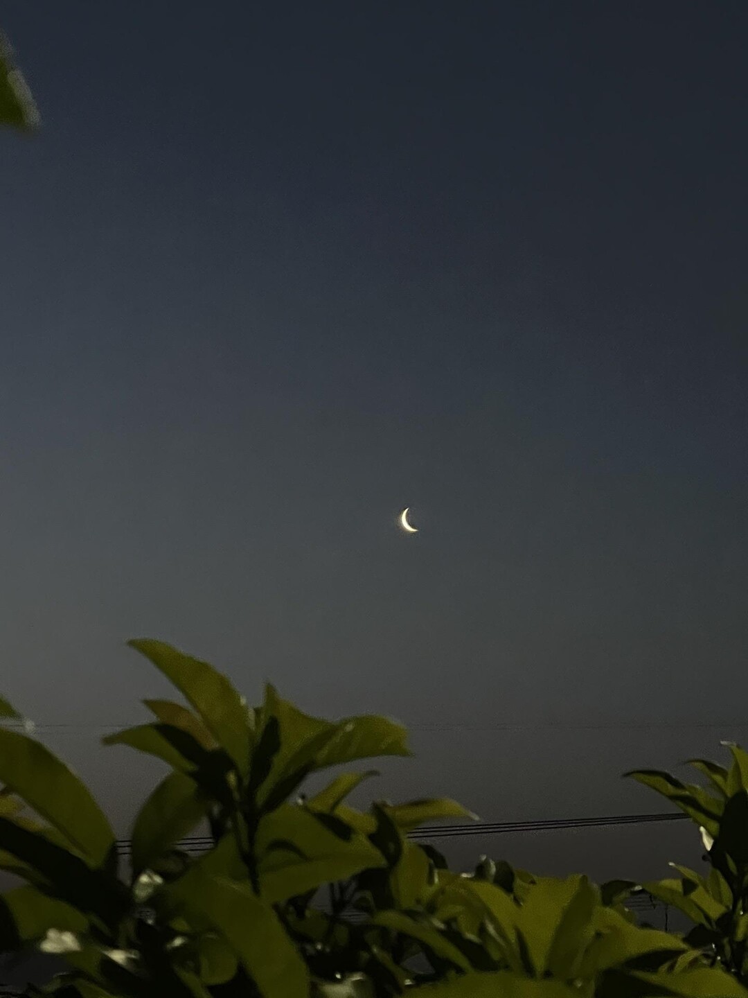 Moon🌙*ﾟ 明け方の空に ポツ... / 海月さんのモーメント | YAMAP / ヤマップ