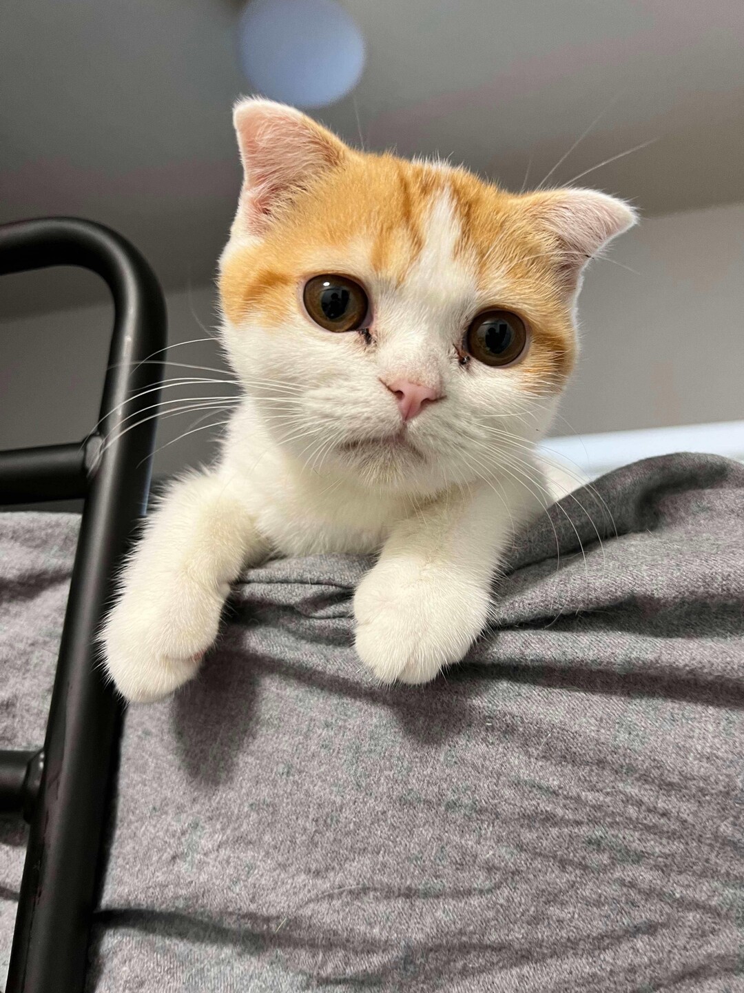 fumiのページ | YAMAP / ヤマップ