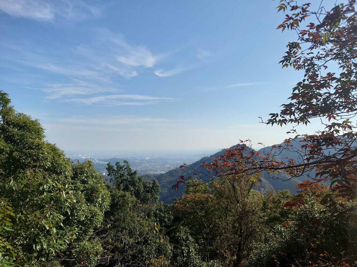 そうだ、低山 行こう！ 東丹沢・鐘ヶ嶽 / Kawaharaさんの大山の活動データ | YAMAP / ヤマップ
