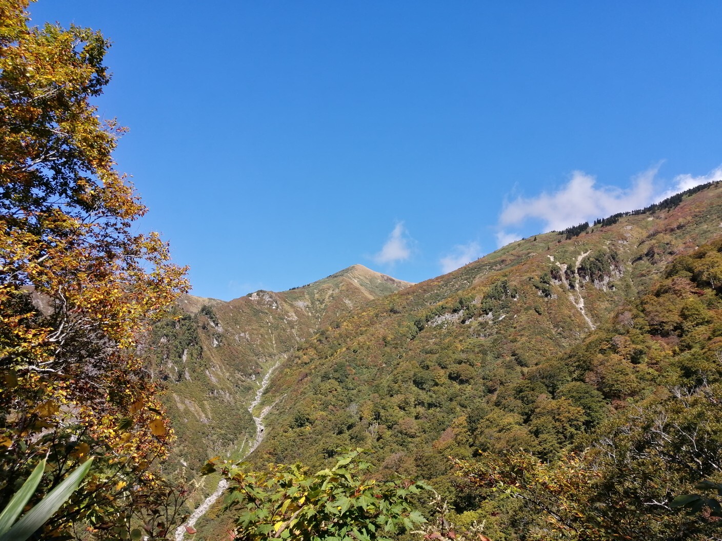 前巻機・御機屋（巻機山 山標柱）・巻機山・牛ヶ岳・割引岳 / JuJu さんの巻機山・割引岳・金城山の活動データ | YAMAP / ヤマップ