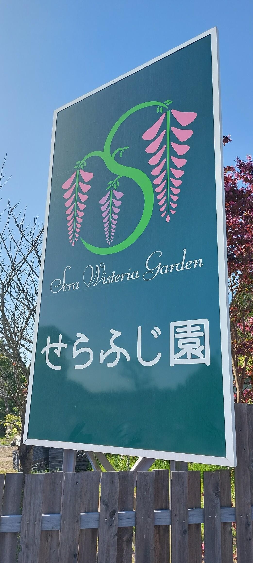 せっかくのゴールデンウィーク山登りはして... / こんPiさんのモーメント | YAMAP / ヤマップ