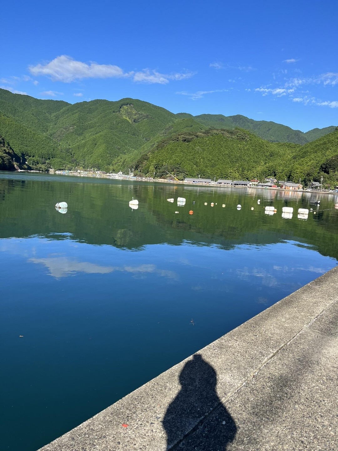 尾鷲 オハイ このところ夏山で浮かれて... / hi-kingさんのモーメント | YAMAP / ヤマップ