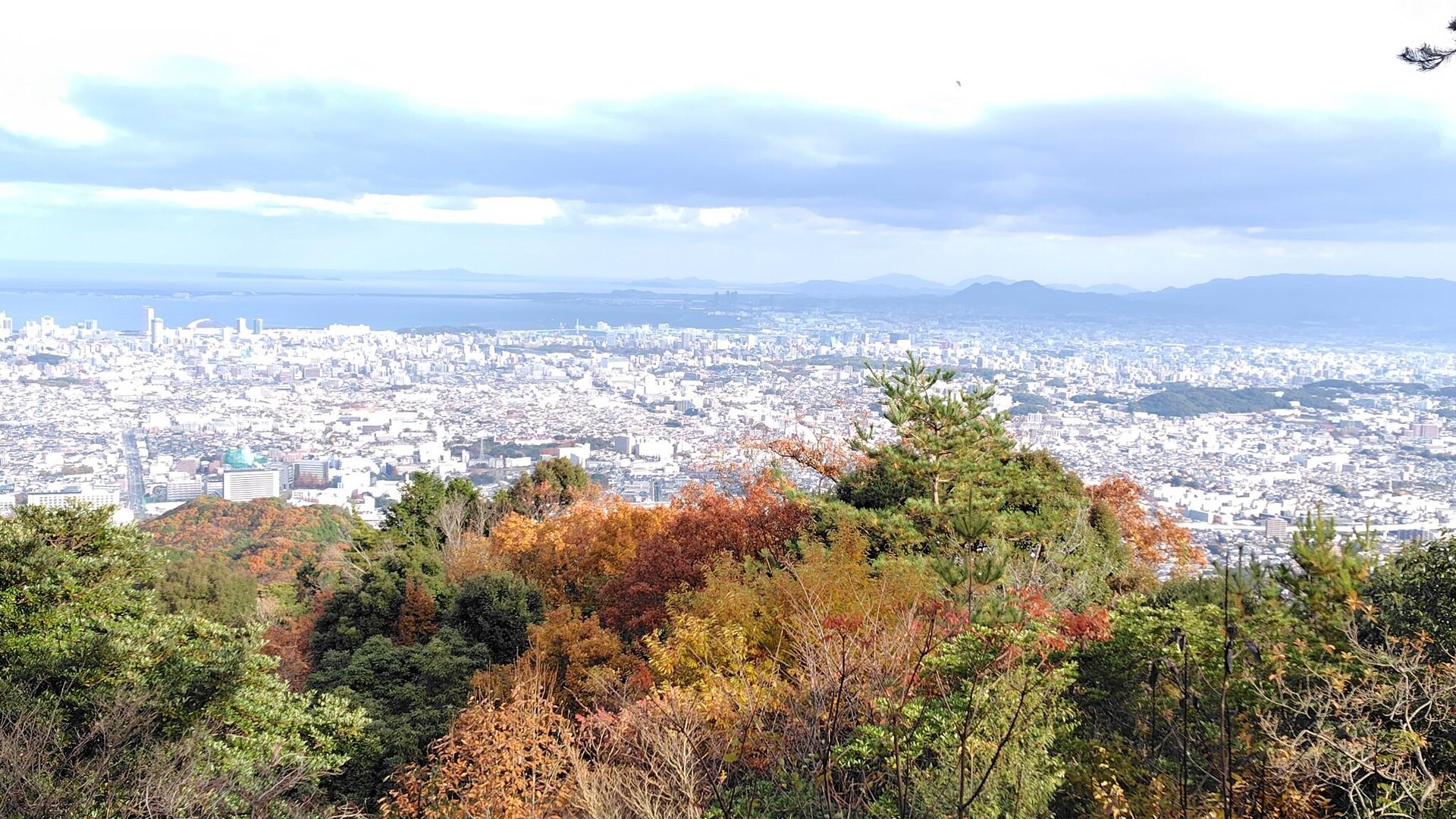 片江山・妙見山・油山・荒平山 / Mt.Keyさんの油山・荒平山・片縄山の活動データ | YAMAP / ヤマップ