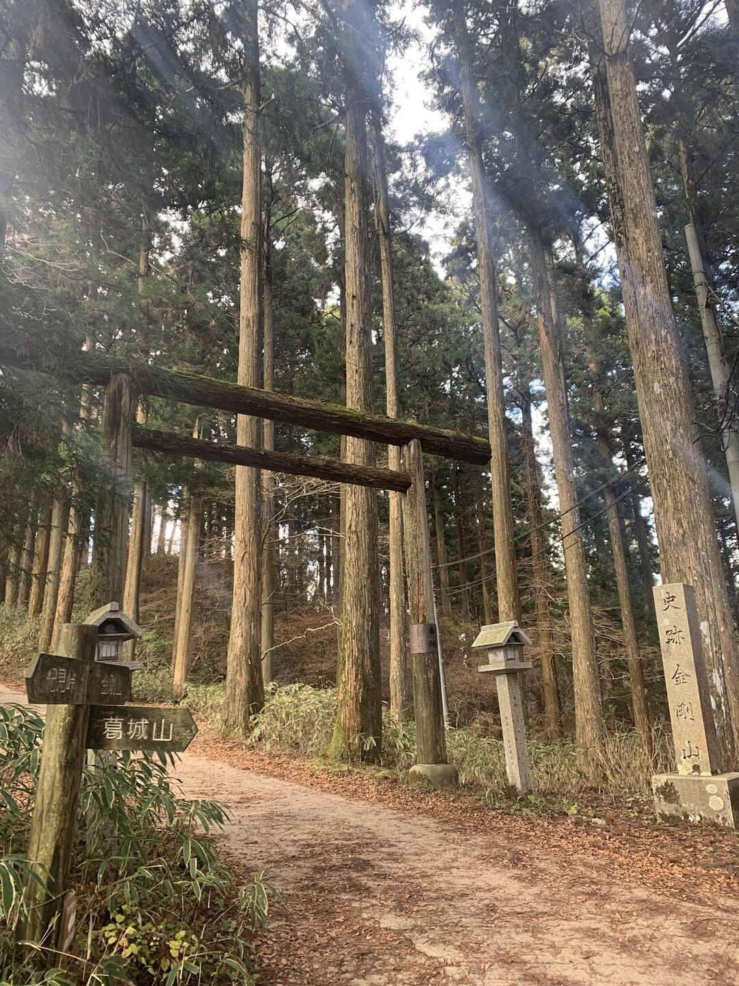 166回目 金剛山 / u.fumi16さんの金剛山・二上山・大和葛城山の活動データ | YAMAP / ヤマップ