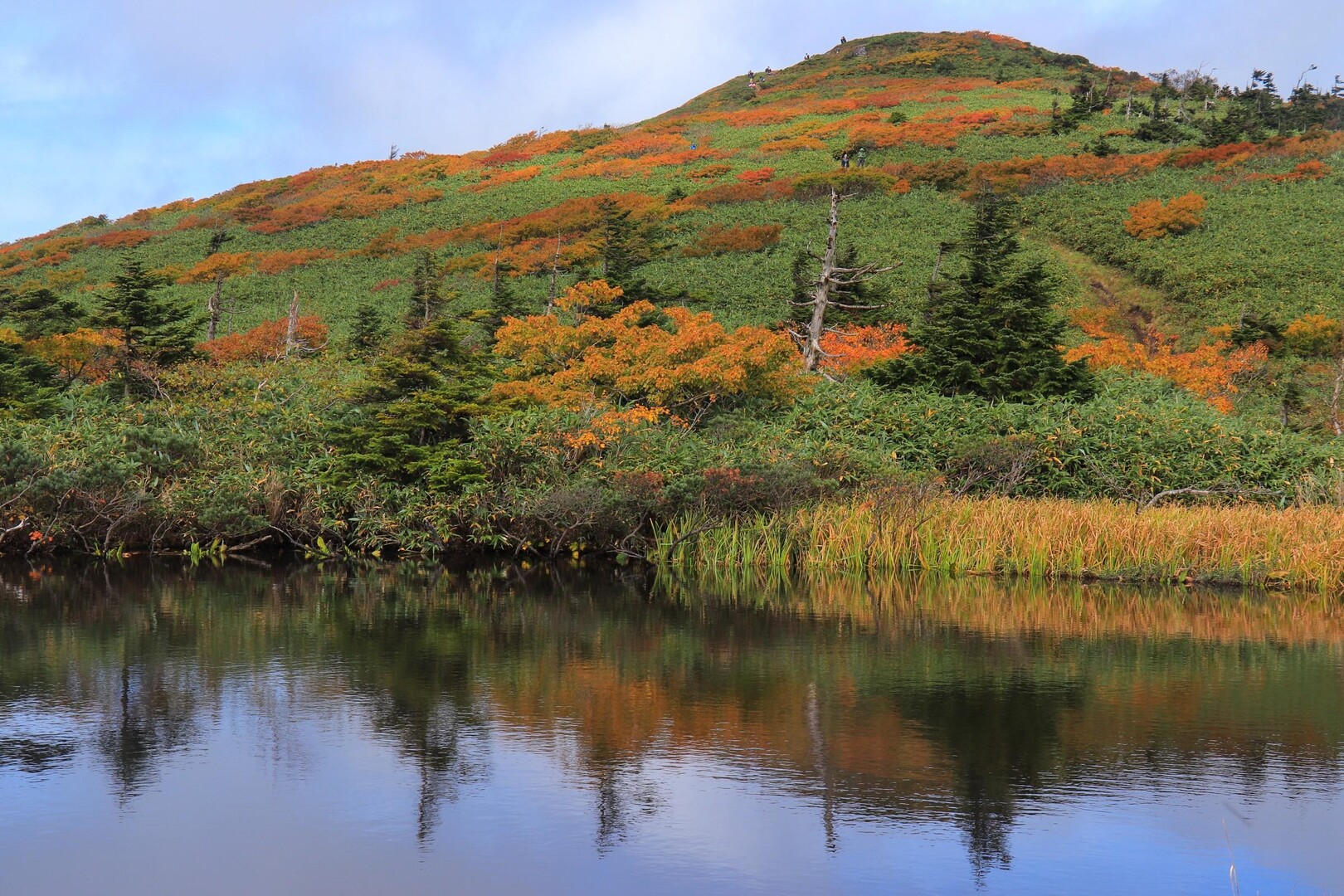 裏岩手縦走路(日帰りショートVer.) / とらさんの岩手山・八幡平・安比高原 50km トレイルの活動データ | YAMAP / ヤマップ