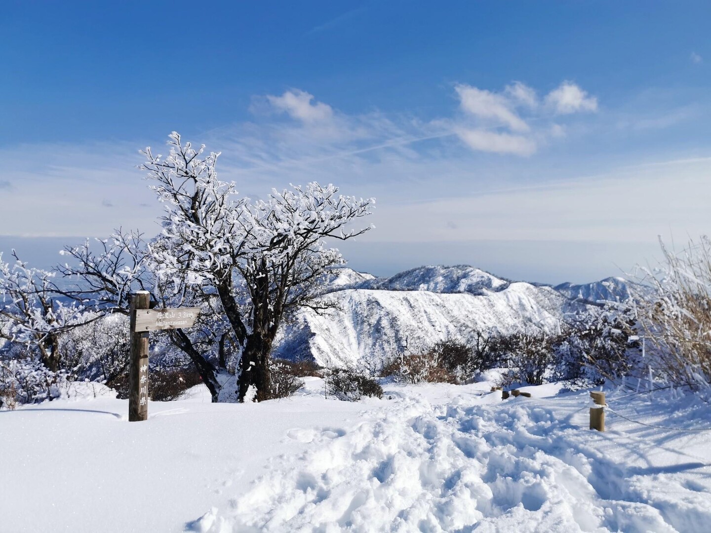 雪たっぷりの蛭ヶ岳 / maiさんの塔ノ岳・丹沢山・蛭ヶ岳の活動データ | YAMAP / ヤマップ