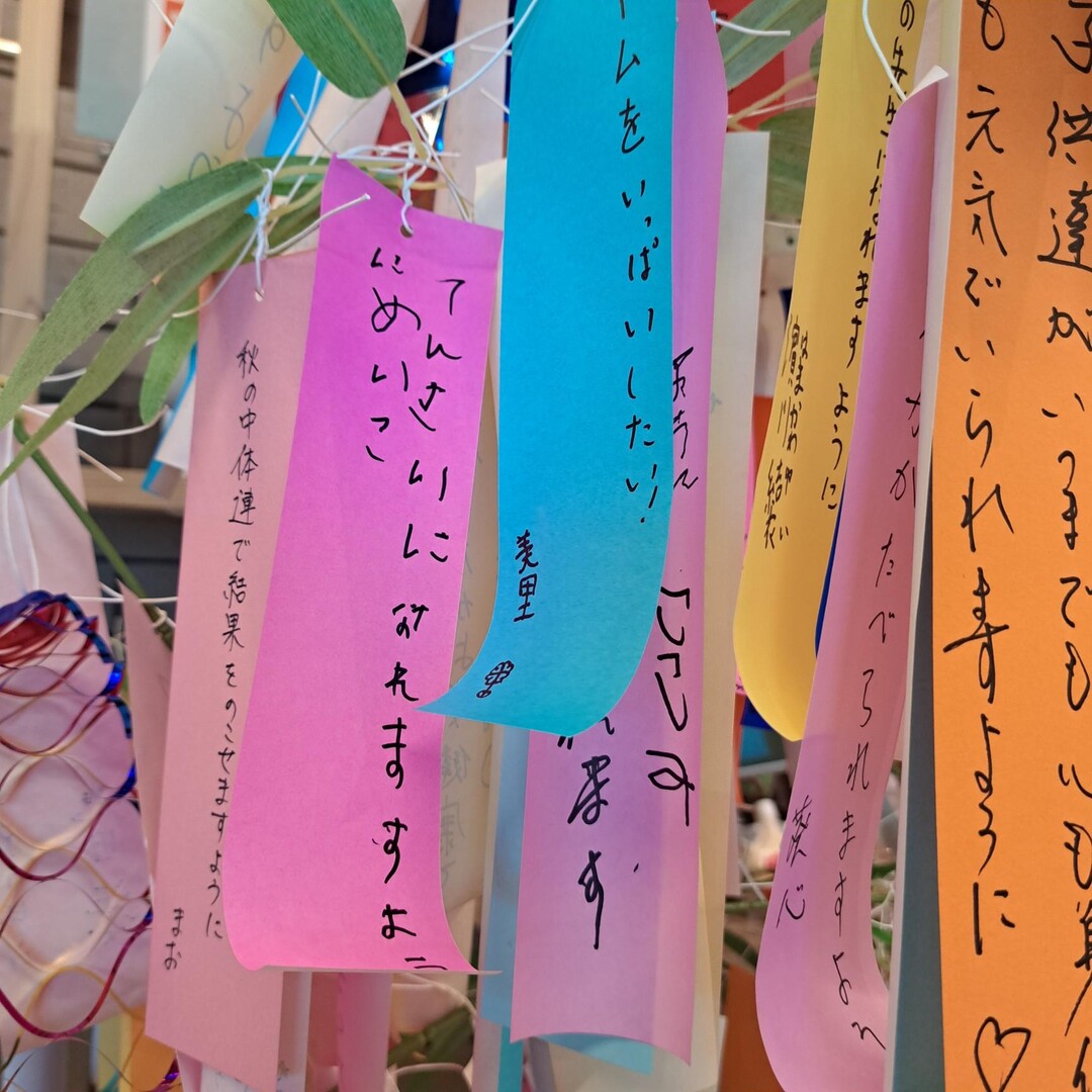 七夕を前に可愛い短冊を見つけました！PI... / 花さんのモーメント | YAMAP / ヤマップ