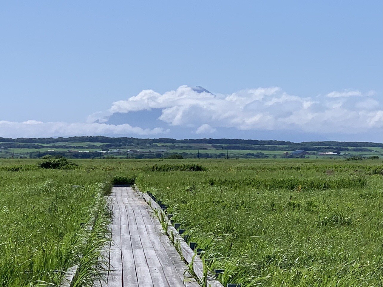オロロンライン🚗寄り道 サロベツ湿原-2021-07-11 / momo🐦さんのサロベツ湿原の活動日記 | YAMAP / ヤマップ