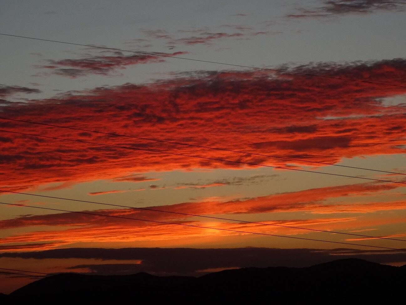 2022.10.11(火) 10:30 / panさんのモーメント | YAMAP / ヤマップ