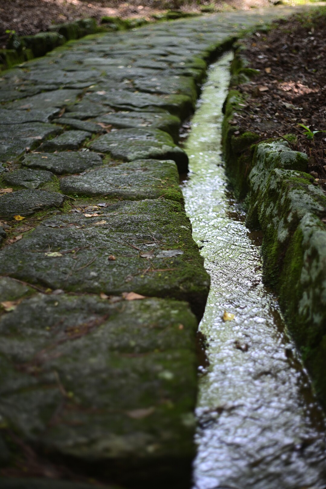 中山道 鵜沼宿 / k3さんの中山道（鵜沼宿・加納宿）の活動データ | YAMAP / ヤマップ