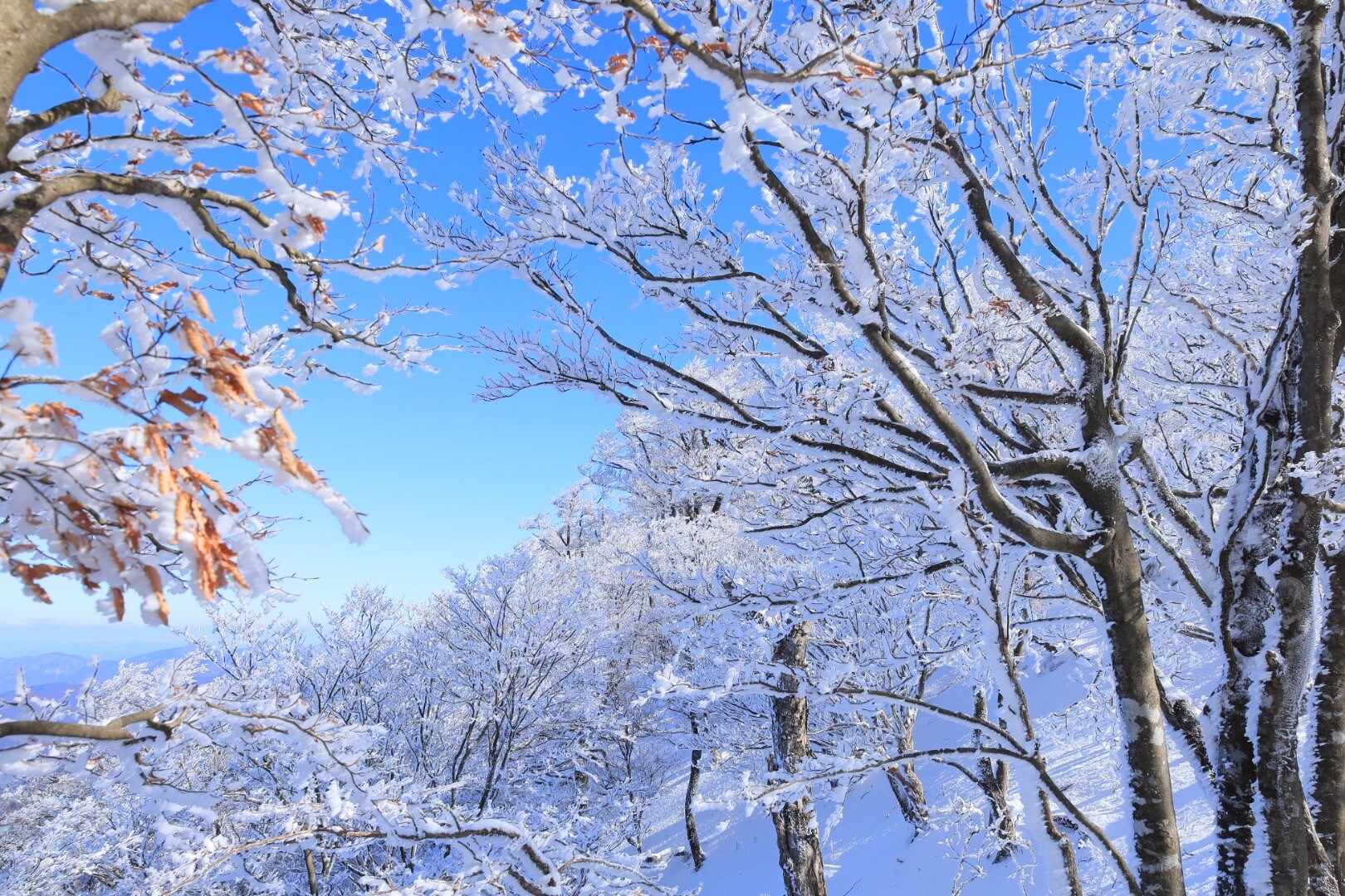 The blue sky in Mt.Takami / カゼノタミさんの高見山・黒石山・天狗山の活動データ | YAMAP / ヤマップ