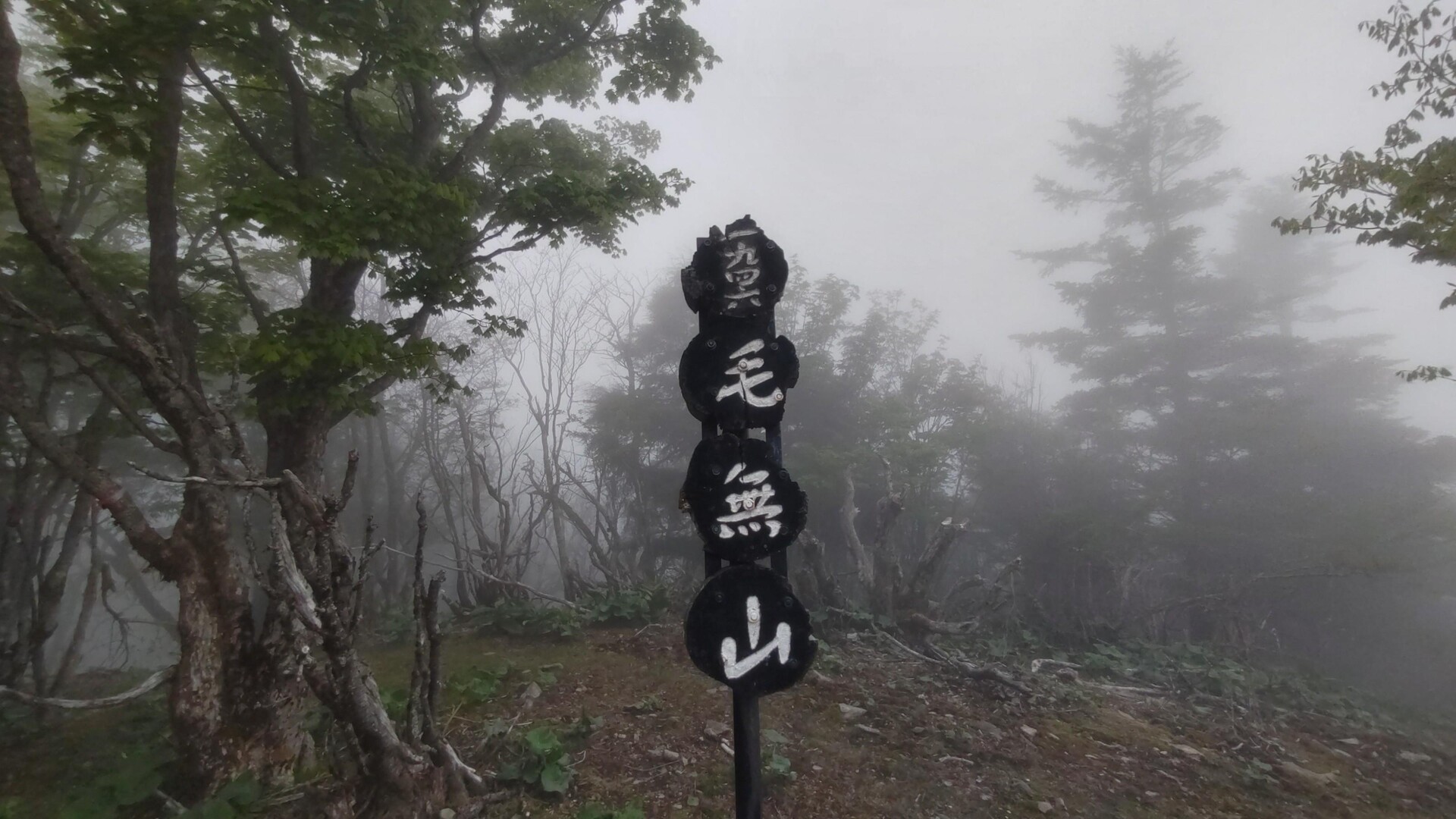 毛無山（三角点） / kazu-haさんの毛無山・雨ヶ岳・竜ヶ岳の活動データ | YAMAP / ヤマップ