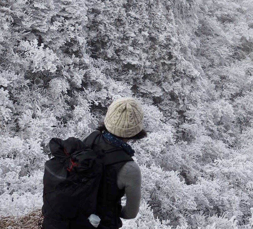 chiiccaのページ | YAMAP / ヤマップ