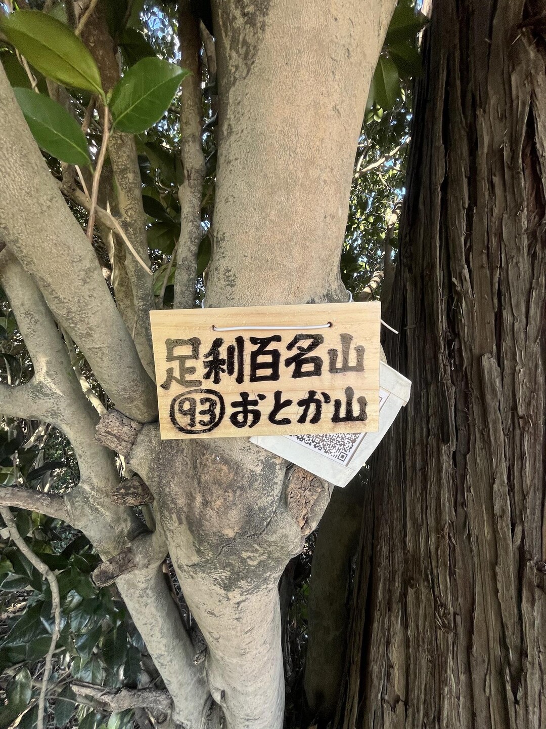 本日の活動③おとか山（足利百名山） / Shinamonさんの大小山（妙義山）・西場富士の活動データ | YAMAP / ヤマップ