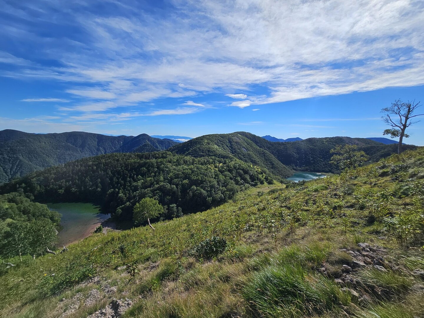 minoさんの投稿したフィールドメモ | YAMAP / ヤマップ