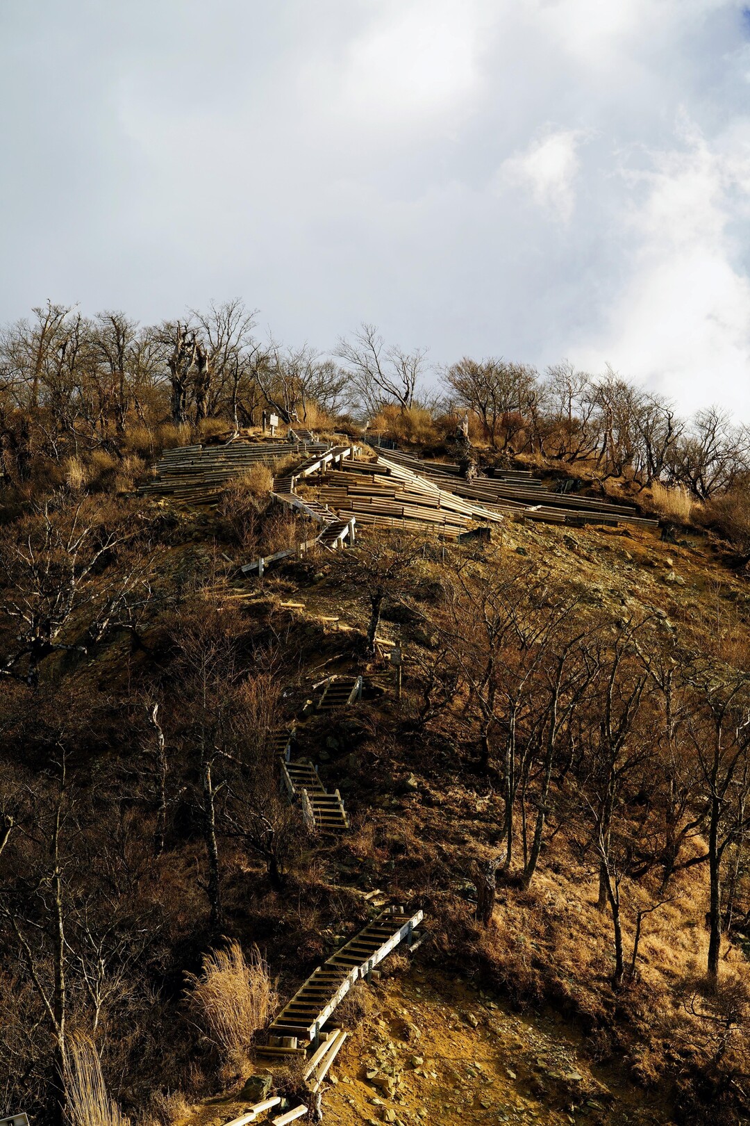 大室山・檜洞丸（月夜野BS→西丹沢VC） / SundayHikeさんの塔ノ岳・丹沢山・蛭ヶ岳の活動データ | YAMAP / ヤマップ