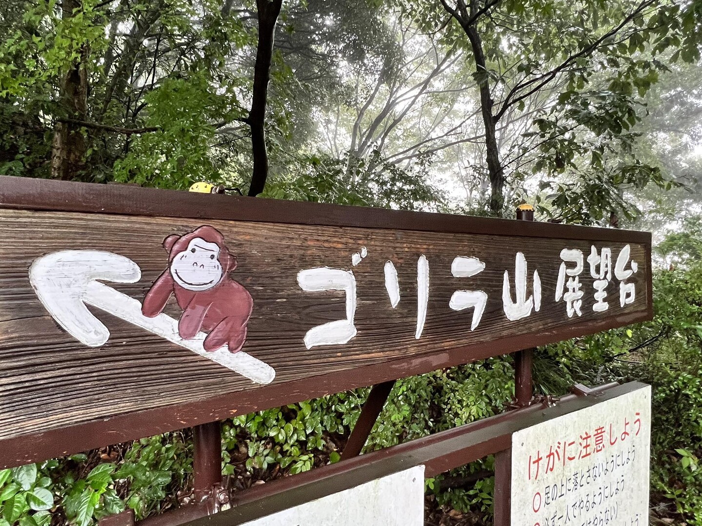 ゴリラ山🦍 / NBさんの官ノ倉山の活動データ | YAMAP / ヤマップ