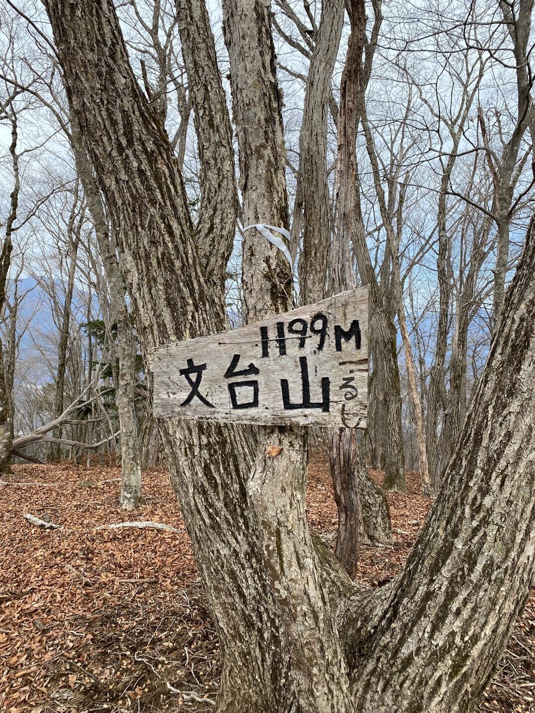 文台山 矢花山 / Rikumamiさんの御正体山・杓子山・石割山の活動データ | YAMAP / ヤマップ