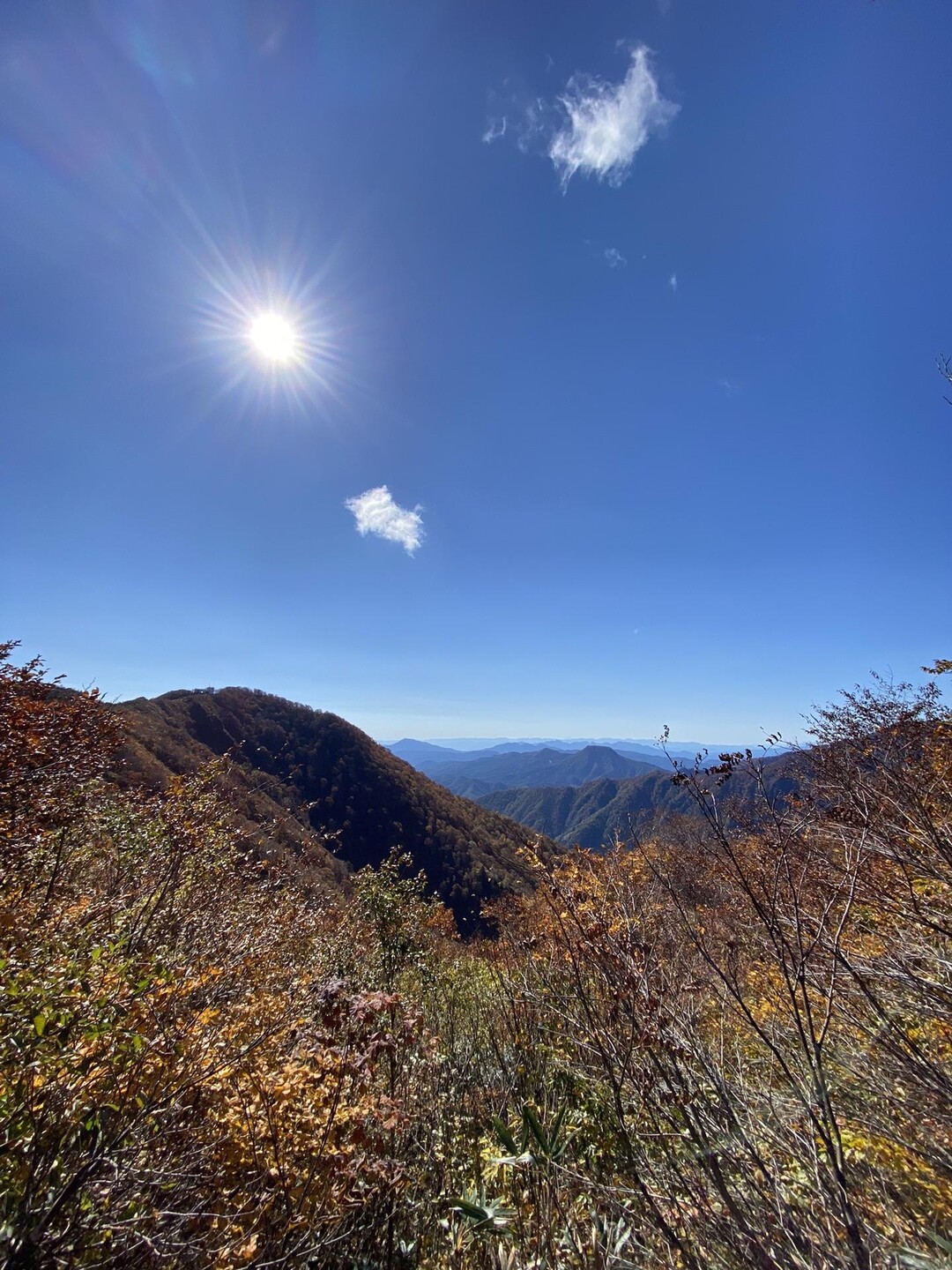 熊穴沢ノ頭・谷川岳（トマの耳）・谷川岳（オキノ耳） / rose🌹⛰☕️さんの谷川岳・七ツ小屋山・大源太山の活動日記 | YAMAP / ヤマップ