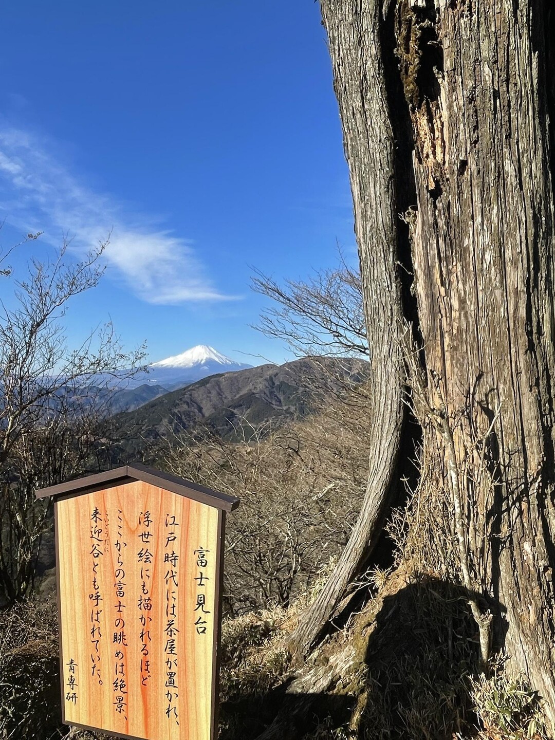 大山 / おーさんの大山の活動データ | YAMAP / ヤマップ