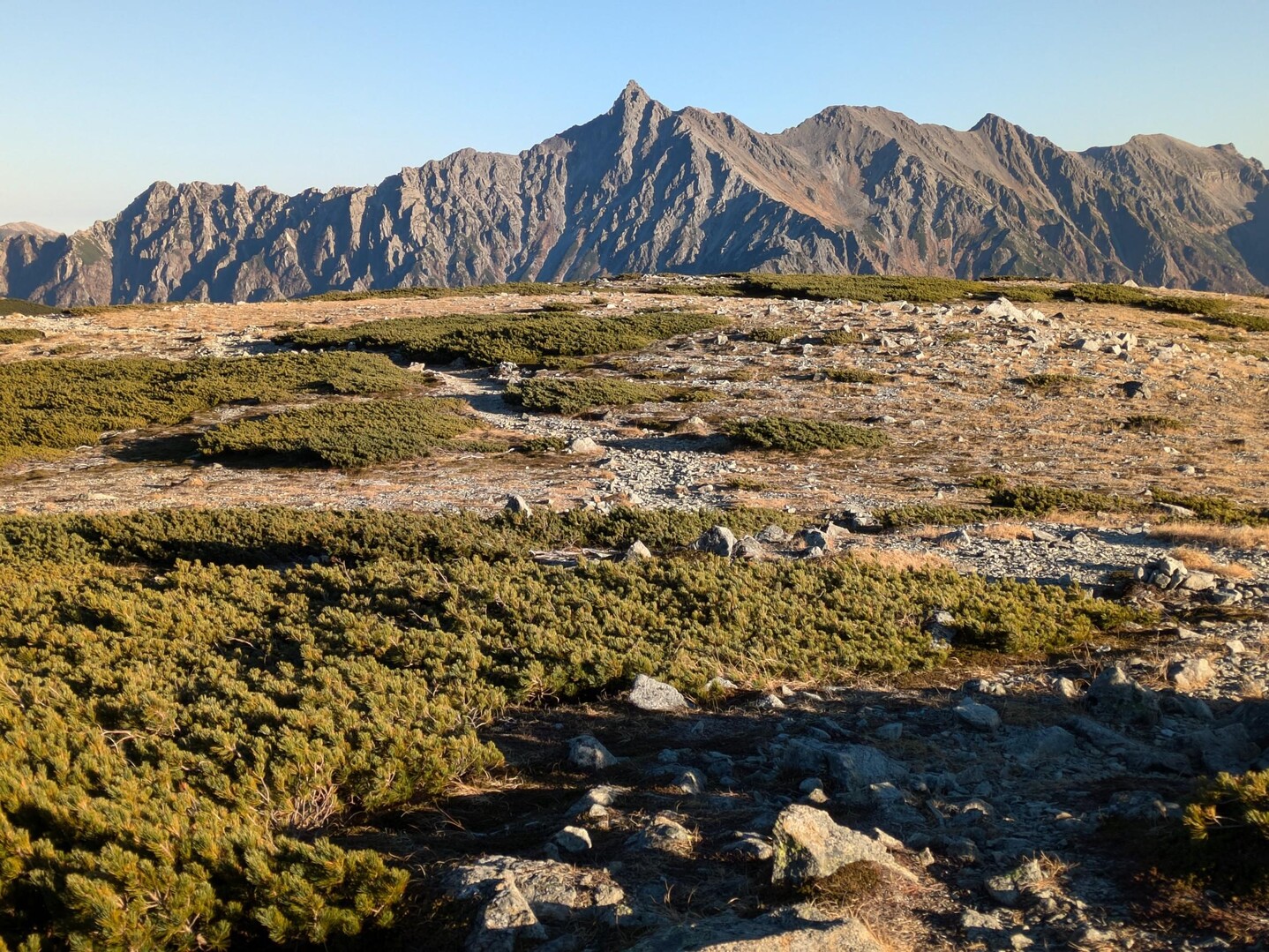 🥾双六岳・弓折岳・大ノマ岳・抜戸岳・笠ヶ岳⛺ / MIHO さんの槍ヶ岳・穂高岳・上高地の活動データ | YAMAP / ヤマップ