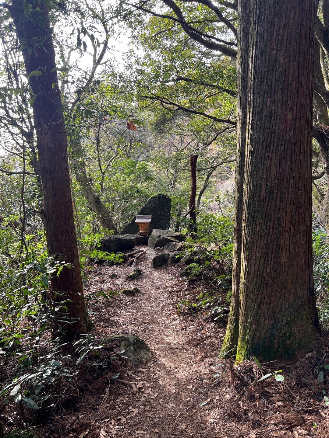 ポポンPさんの投稿したフィールドメモ | YAMAP / ヤマップ