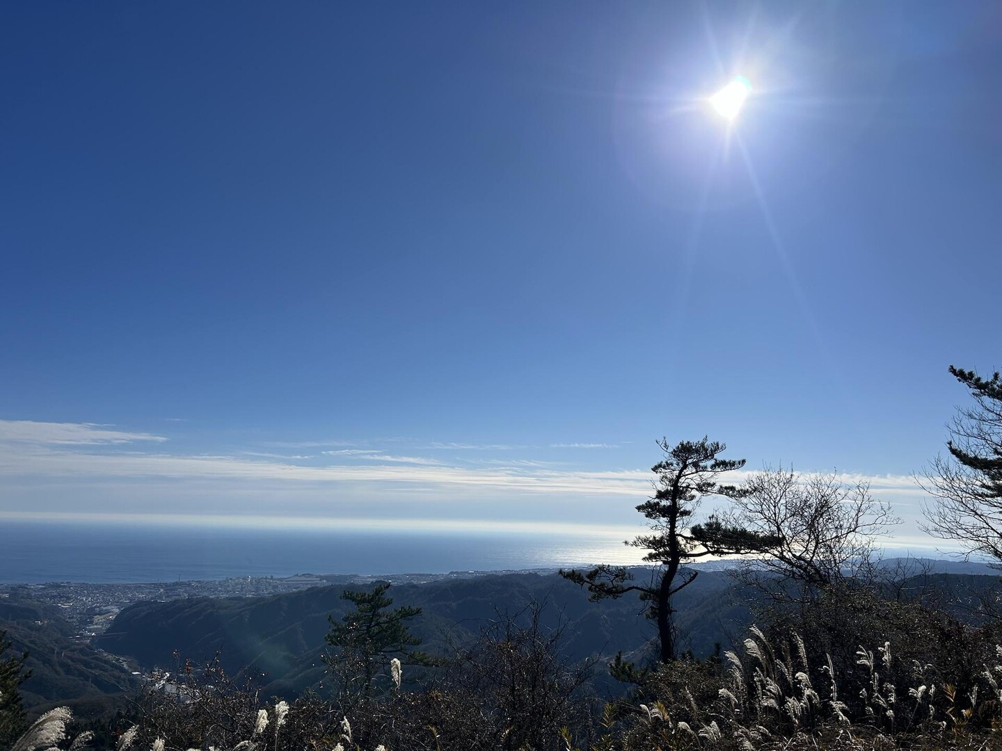 御岩山・高鈴山・神峰山 / オッチーさんの日立アルプストレイル・神峰山（神峯山）の活動データ | YAMAP / ヤマップ