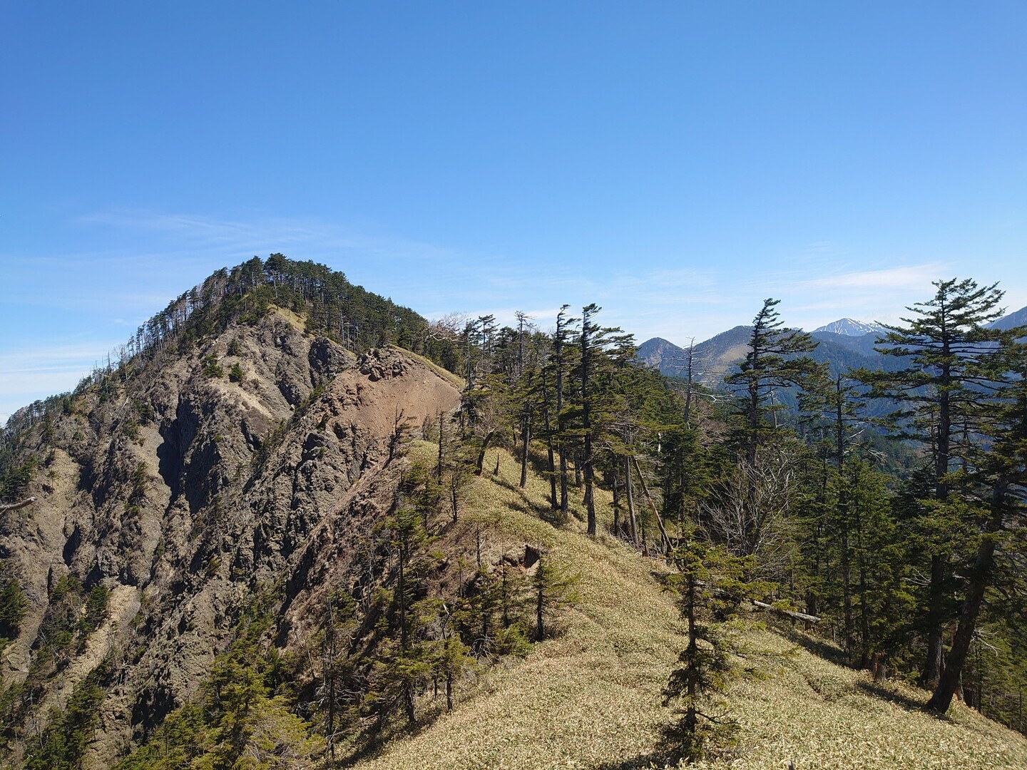 【周回コース】中ノ尾根山 他数山【ミサ百コレクト】 / kontomoさんの池口岳・加加森山・光岳の活動データ | YAMAP / ヤマップ
