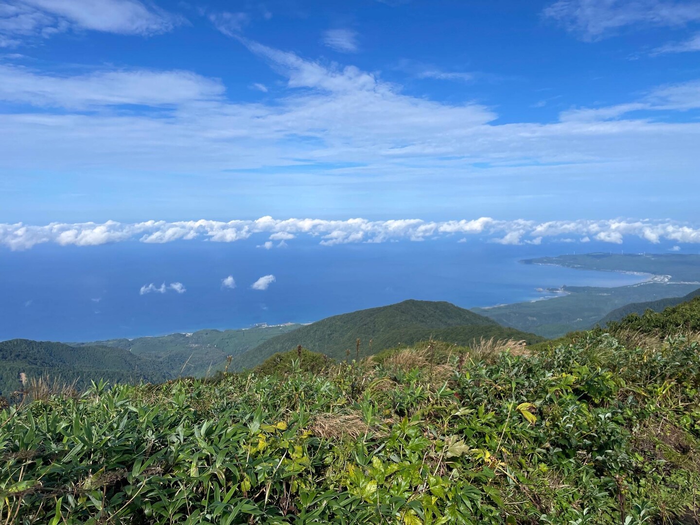 [二百-73]白神岳 / きよんさんの白神岳・蟶山・大峰岳の活動データ | YAMAP / ヤマップ
