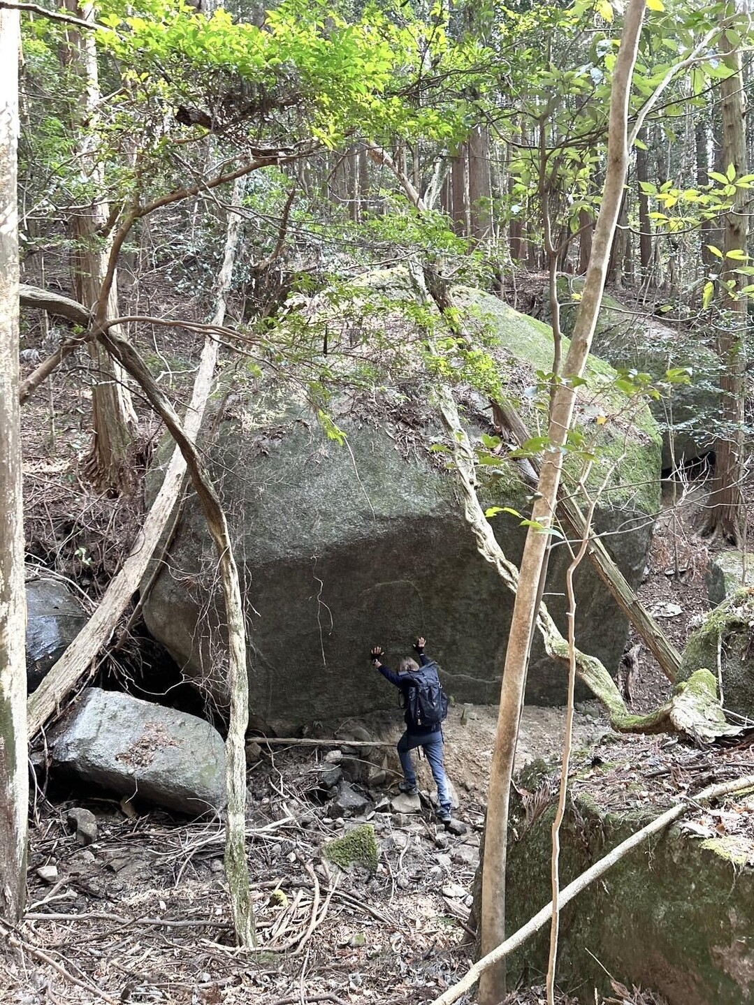 猿投山 629🐒2025/⑥ / hitoさんの猿投山・物見山の活動データ | YAMAP / ヤマップ