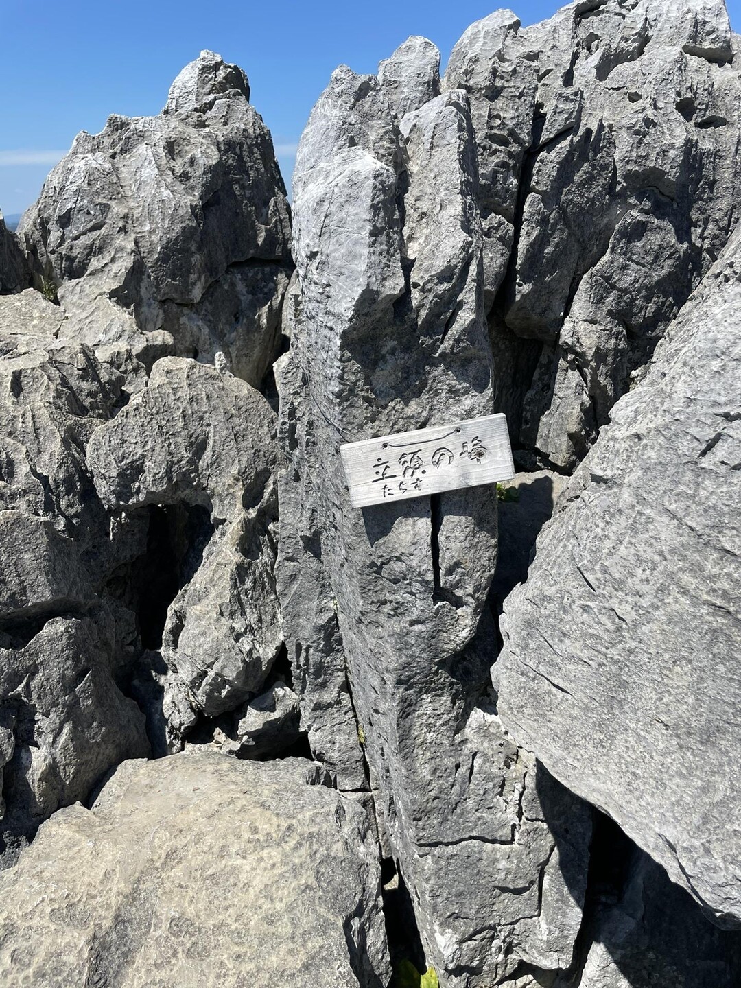 三岳山・兎荷山・立須 / annaさんの三岳山の活動データ | YAMAP / ヤマップ