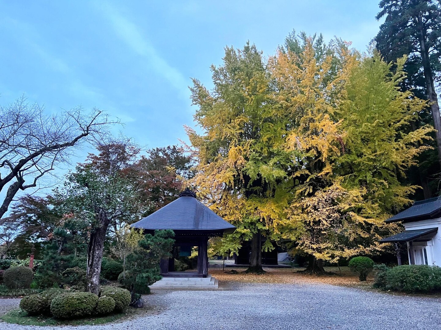 2023.11.16 あきる野市 広徳寺... / ayaさんのモーメント | YAMAP / ヤマップ