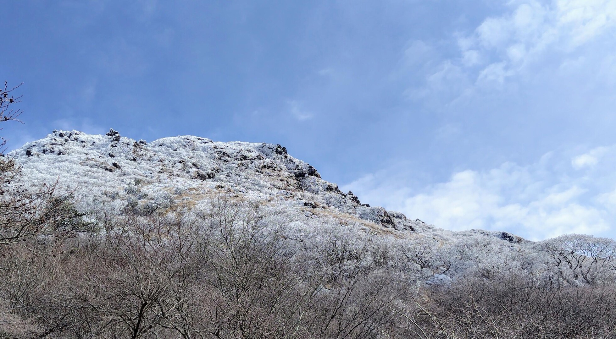 由布岳（西峰・豊後富士）・由布岳（東峰） / Emily (咲梨) 𖤣𖥧𖥣｡𓂃𓈒さんの由布岳・鶴見岳の活動データ | YAMAP / ヤマップ