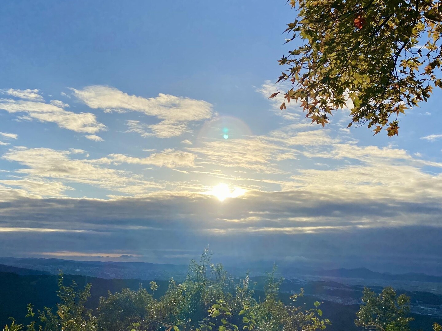 福山22 / me youさんの福山・江田山・高鳥居山の活動データ | YAMAP / ヤマップ