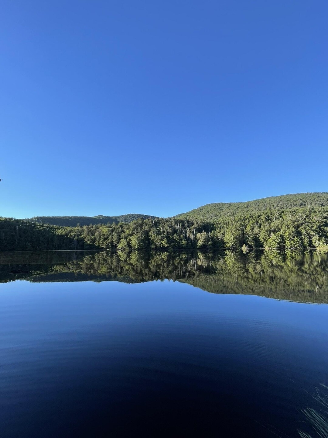 ニュウ 山の日の山 / Shokoさんの八ヶ岳（赤岳・硫黄岳・天狗岳）の活動データ | YAMAP / ヤマップ
