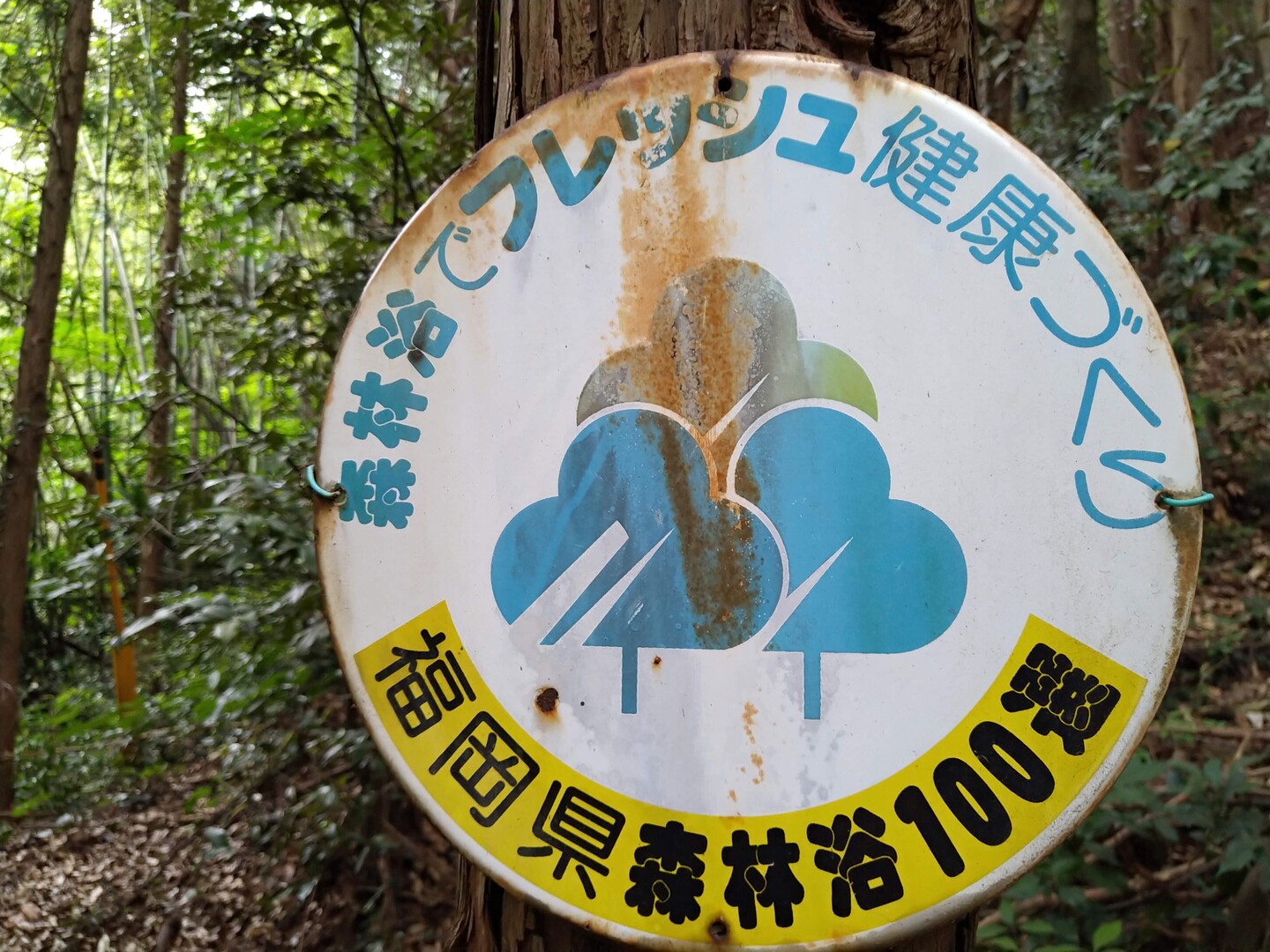 許斐山を山歩 / ryuchanさんの登山の活動データ | YAMAP / ヤマップ