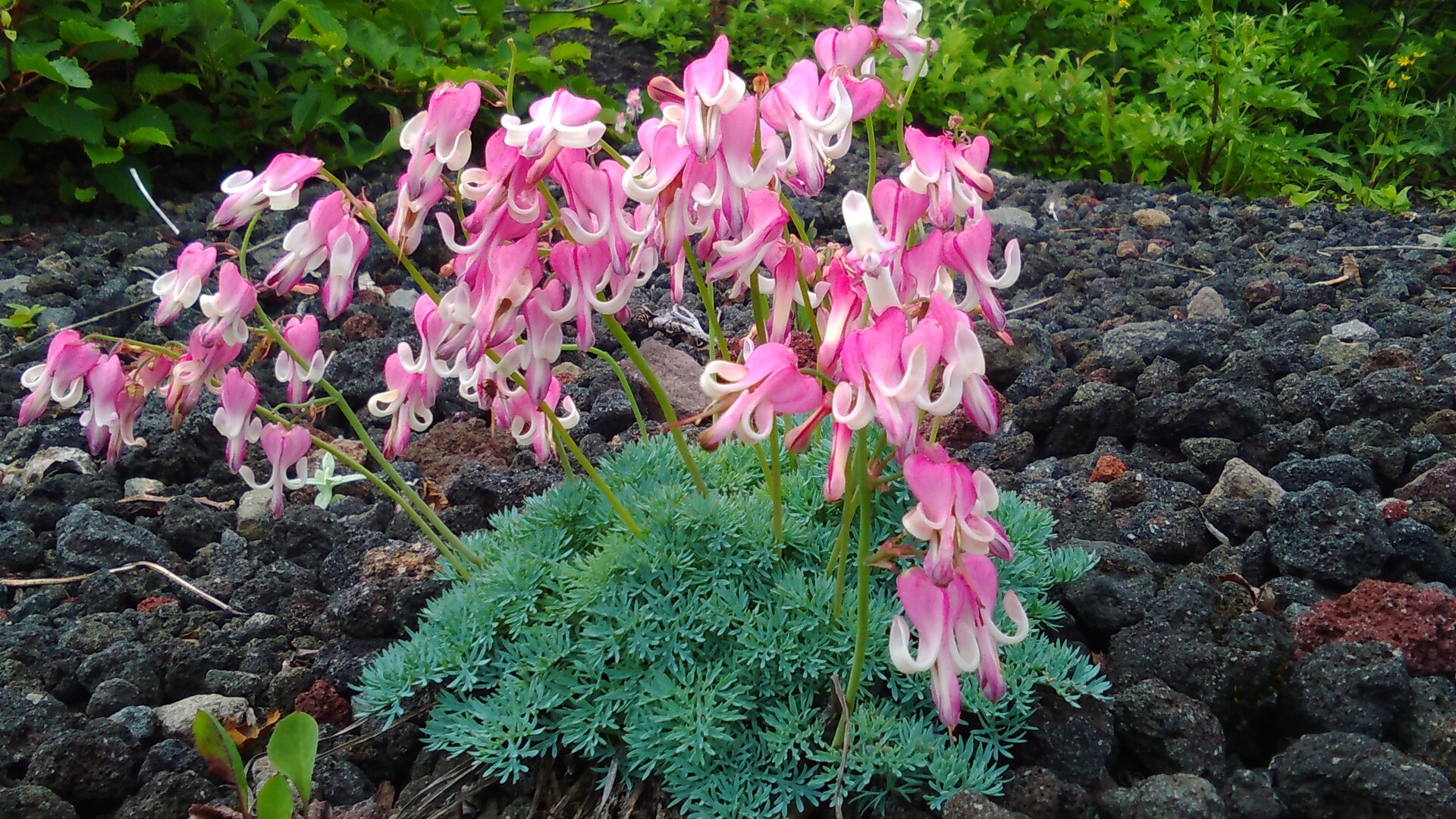 marukoのページ | YAMAP / ヤマップ