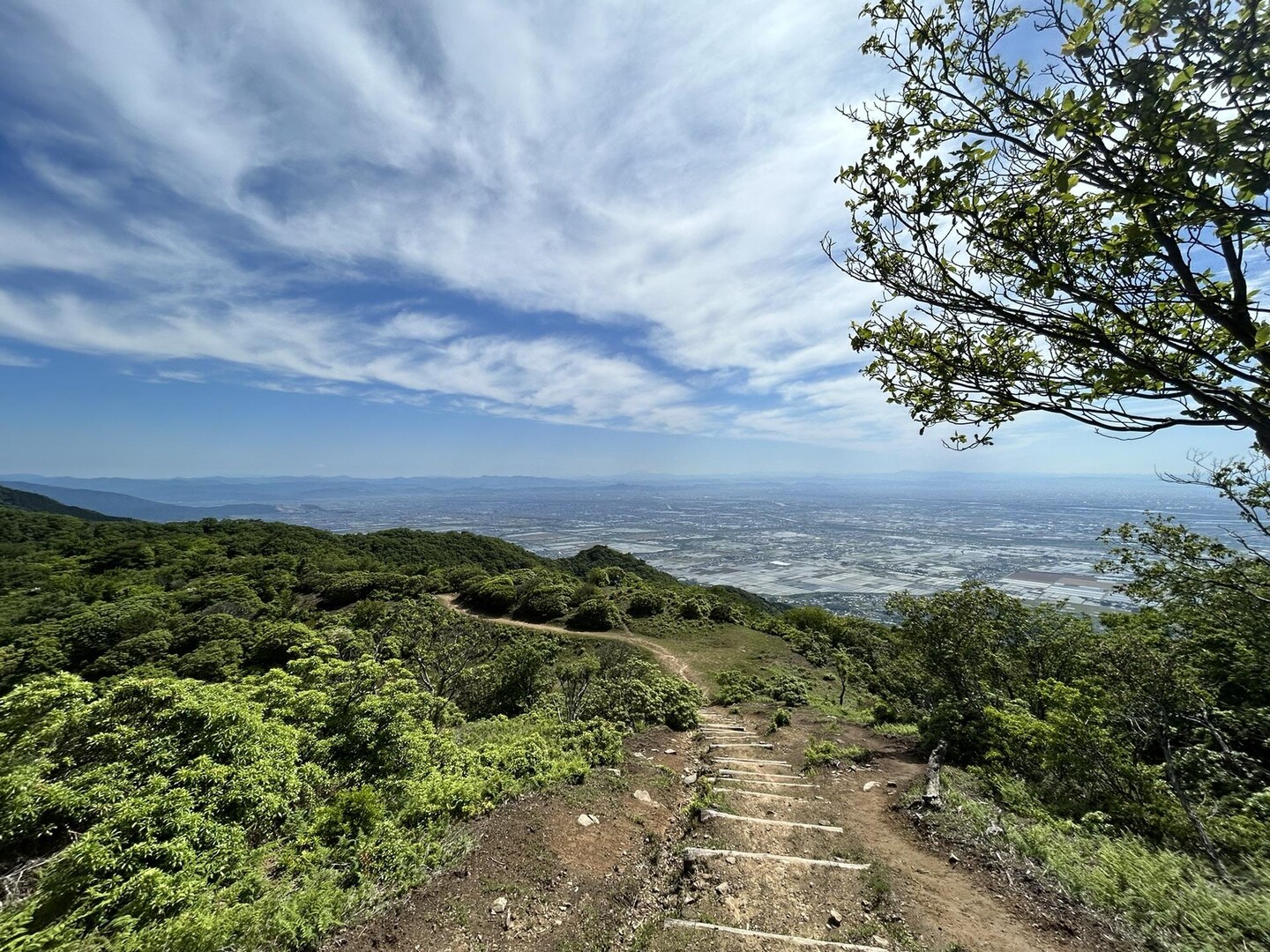 三方山・小倉山・養老山・北尾根P826峰 / sesoyayuさんの養老山・笙ヶ岳・三方山の活動データ | YAMAP / ヤマップ
