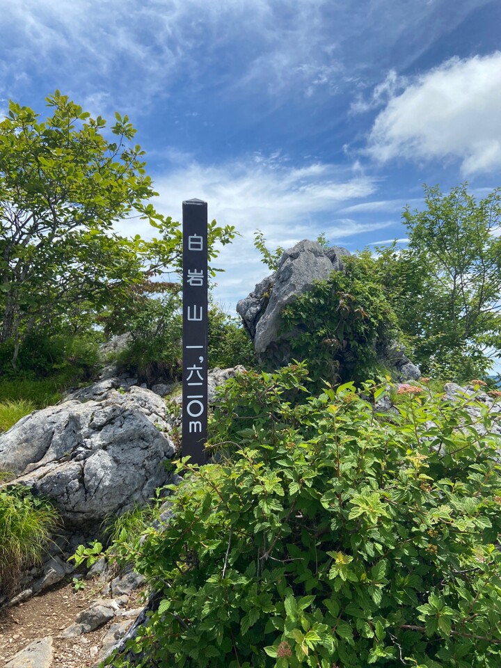 ゴボウ畑登山口-白岩峠-白岩山 往復コースの地図・登山ルート・登山口情報 | YAMAP / ヤマップ