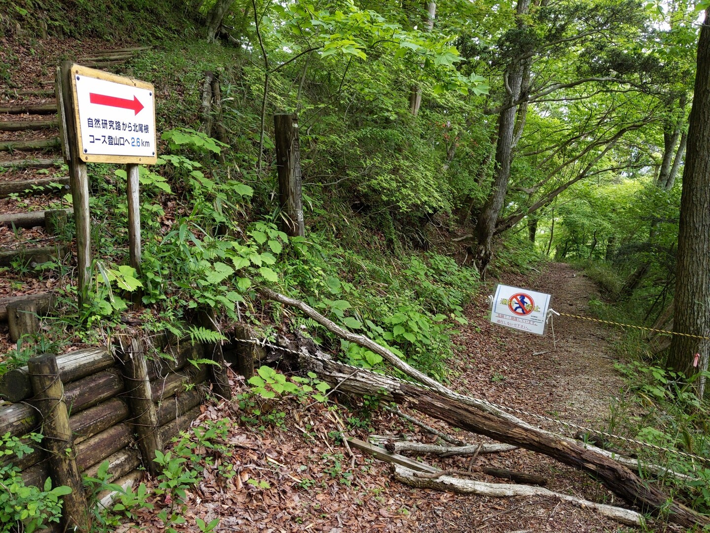 Shinさんの投稿したフィールドメモ | YAMAP / ヤマップ