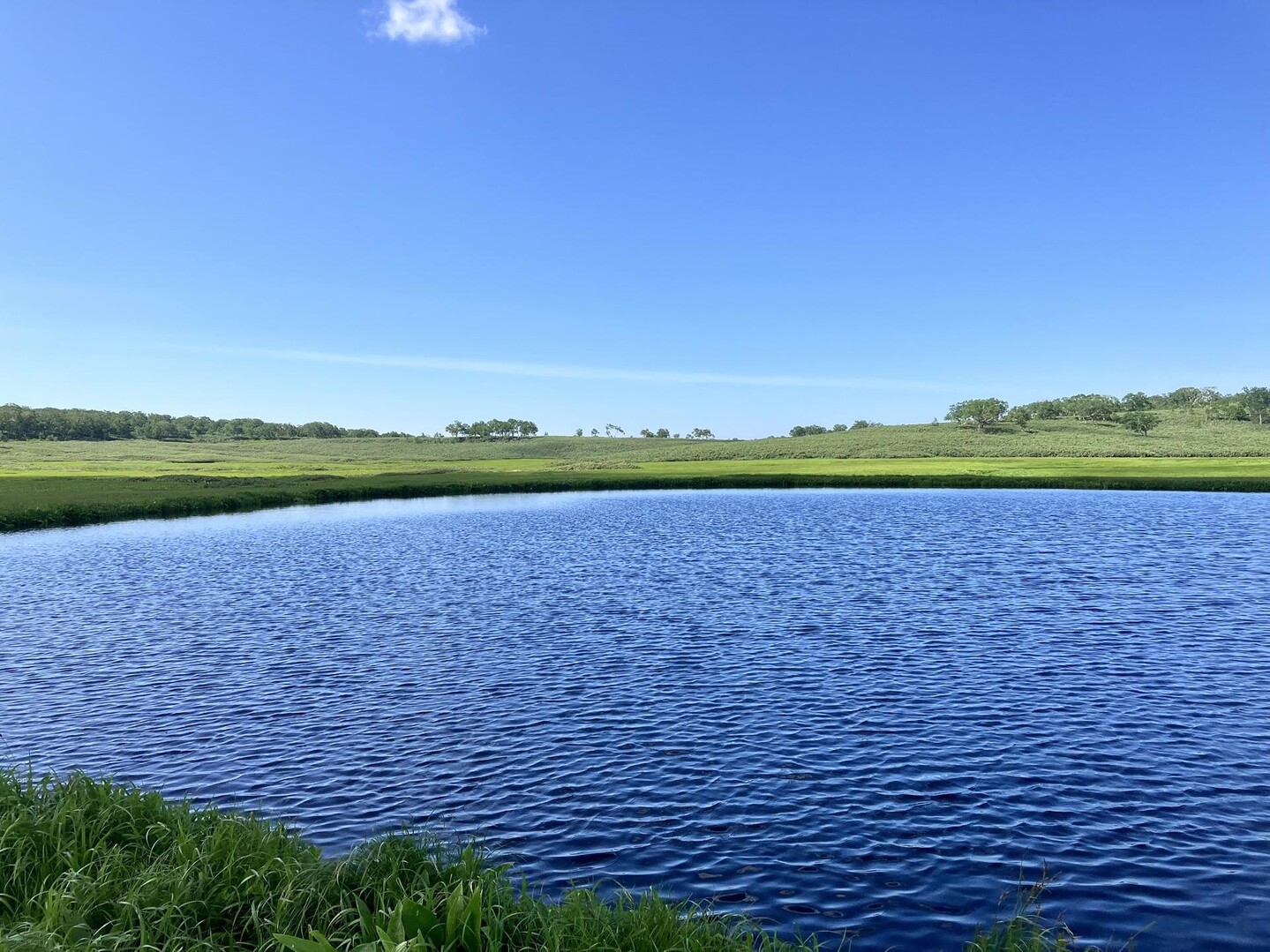 暑寒別岳-2024-07-14 / hidehidekiさんの暑寒別岳の活動データ | YAMAP / ヤマップ