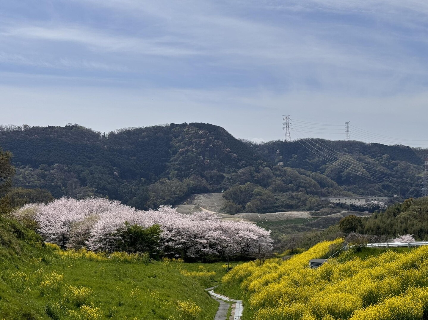 三室山・明神山 / yukiyamaさんの明神山・玉手山の活動データ | YAMAP / ヤマップ