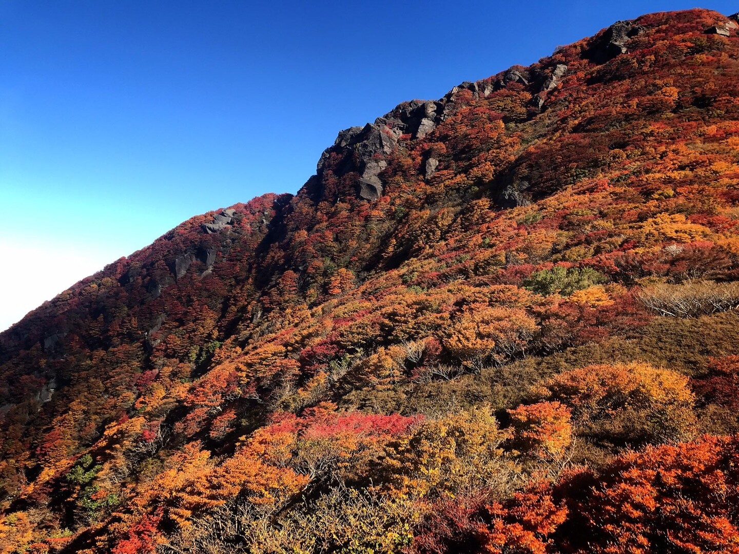 三俣山の紅葉 2022 / Coki-aさんの九重山（久住山）・大船山・星生山の活動データ | YAMAP / ヤマップ