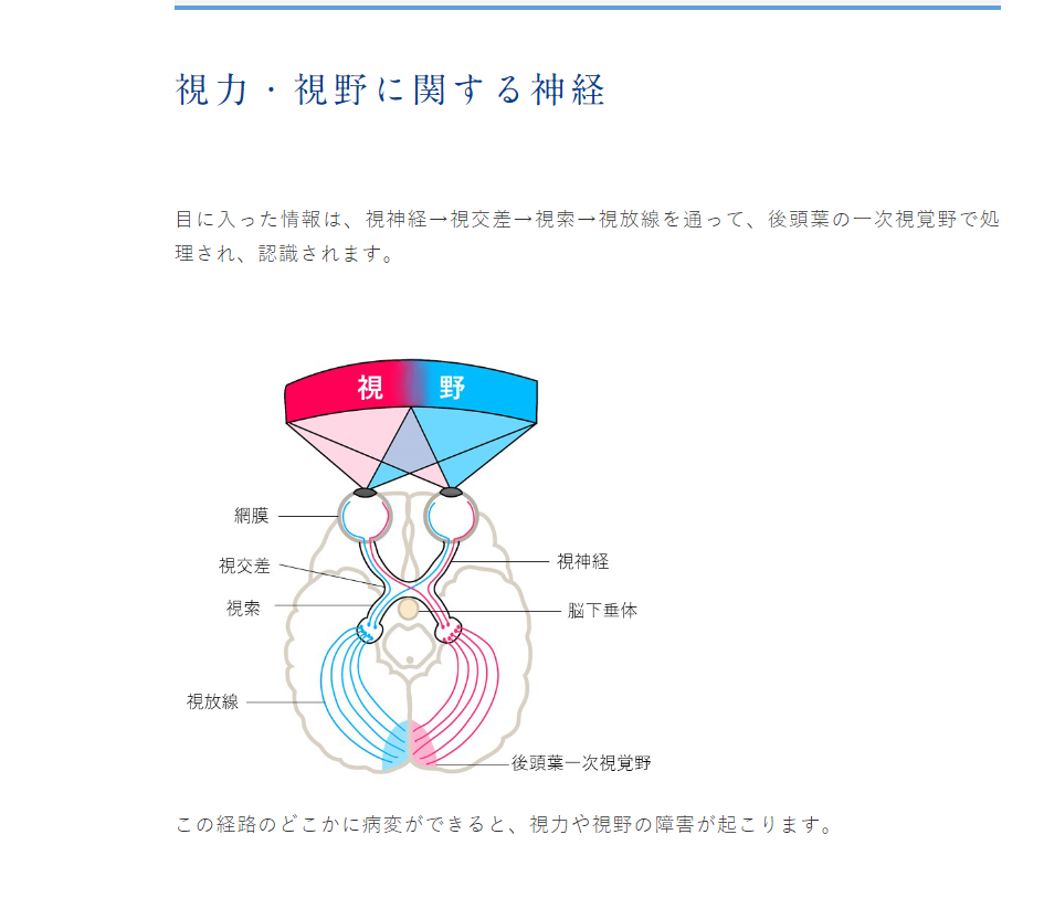 脳梗塞予兆・・・閃輝暗点：せんこうあんて... / sin358さんのモーメント | YAMAP / ヤマップ