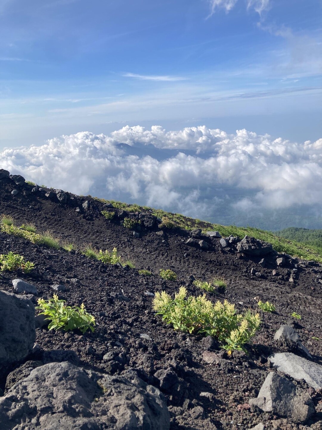 バテバテの富士山 / kazuyaさんの富士山の活動データ | YAMAP / ヤマップ