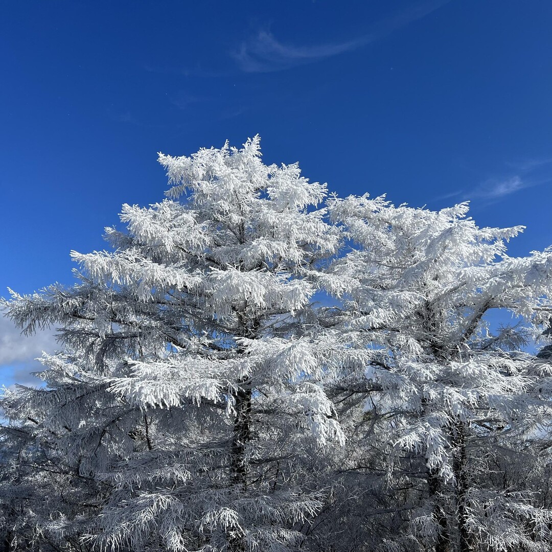 寧比曽の冬がやって来た！ / harusan ~さんの寧比曽岳・筈ヶ岳・出来山の活動日記 | YAMAP / ヤマップ