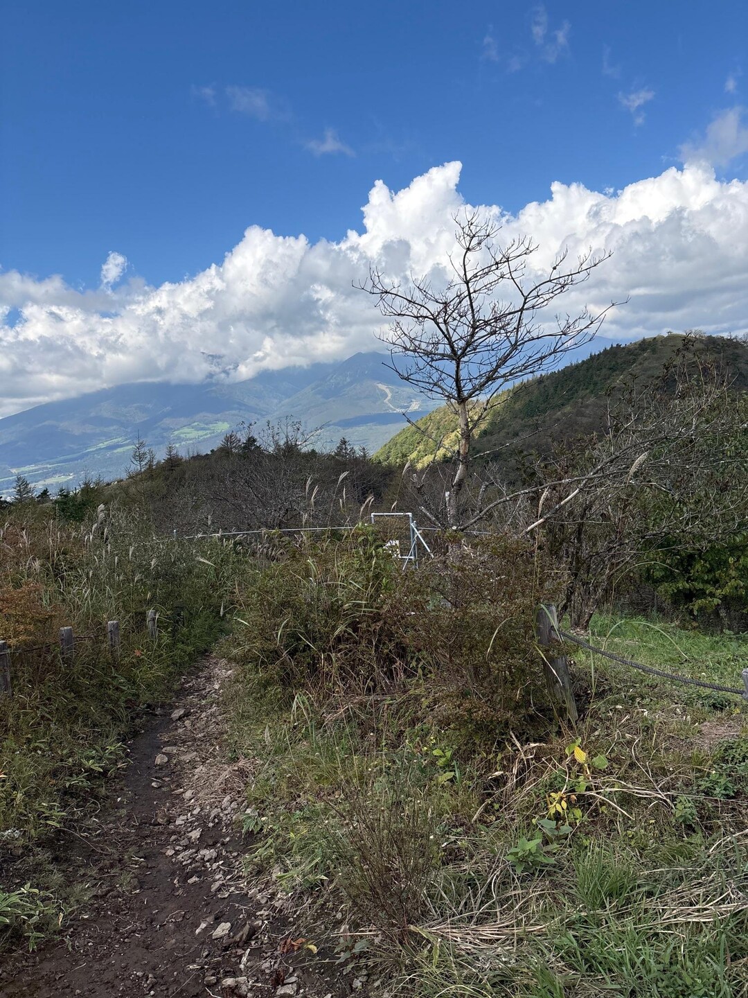 hiroko*さんの投稿したフィールドメモ | YAMAP / ヤマップ