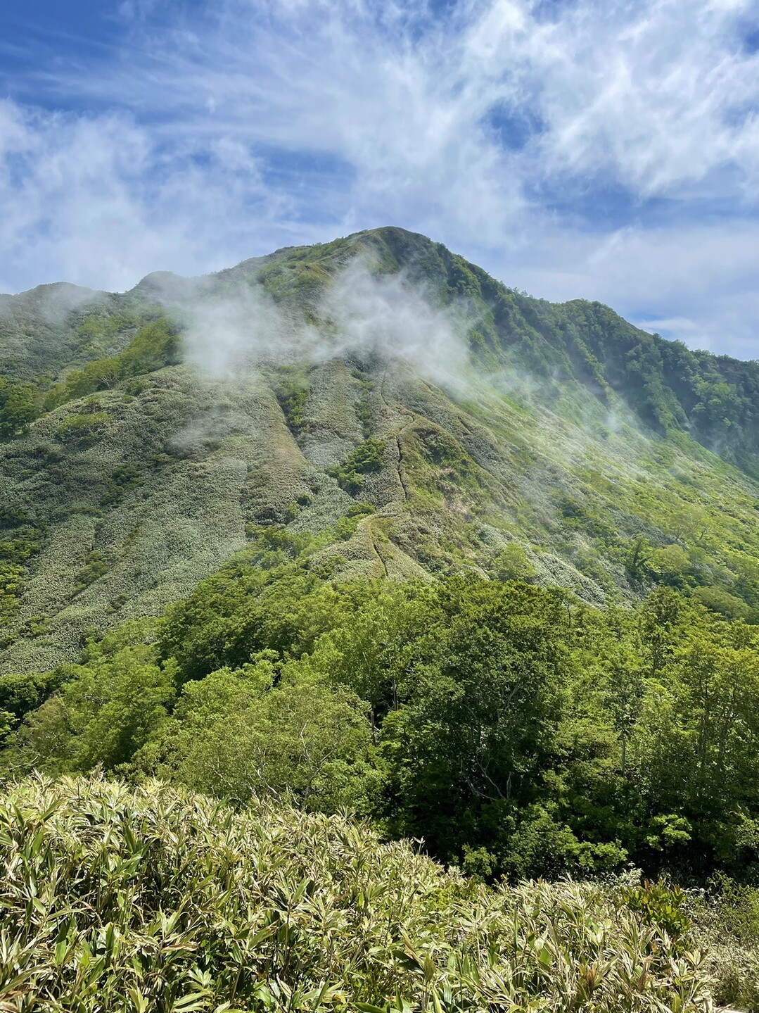 経ヶ岳(福井県) / fjhiroさんの経ヶ岳・法恩寺山の活動日記 | YAMAP / ヤマップ