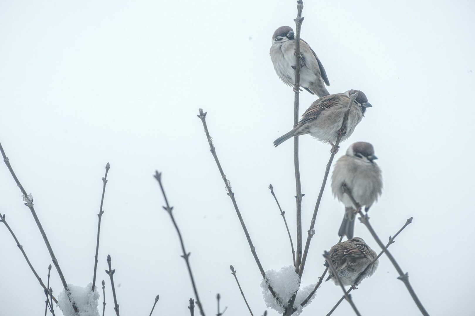 最近休みの日に限っていつも天気微妙。 悲... / muさんのモーメント | YAMAP / ヤマップ